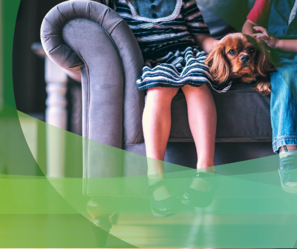 Vunerable Children and covid 19 I Child Law I Bretherton Law